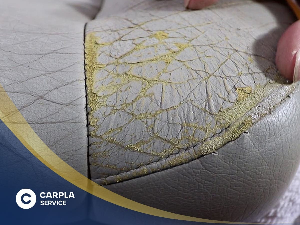 Dịch vụ phục hồi bảo dưỡng ghế da ô tô chuyên nghiệp Carpla Service